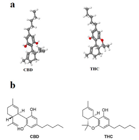A The Molecular Structure And B Chemical Diagrams Of Cbd And Download Scientific Diagram