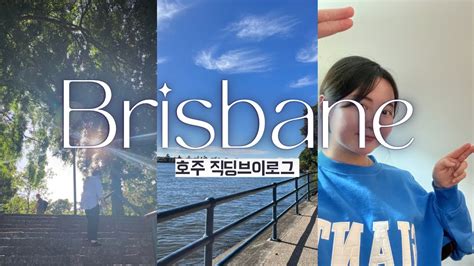 호주 브리즈번 브이로그 Ep 3 양배추 참치 덮밥 2023 년 호주 호주 백수 이제 일 할거에요 호주 워홀