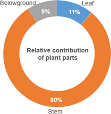 The Relative Proportion Of Leaf Stem And Belowground Parts Of I Download Scientific Diagram