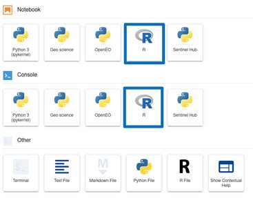 Release Cdse Supports R Kernel In The Jupyterlab Service News Copernicus Data Space