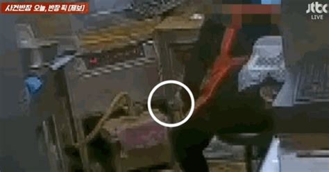 손님 치킨 먹고 있는데주방서 흡연하며 치킨 튀긴 업주