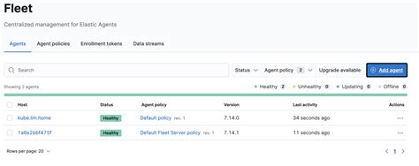 fleet server with elasticsearch in docker container justin lim