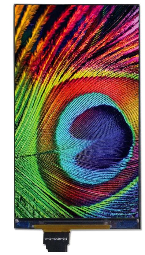 5 5 Inch FHD Hight Resolution High Brightness Full View TFT LCD Screen LCD Modules And TFT LCD