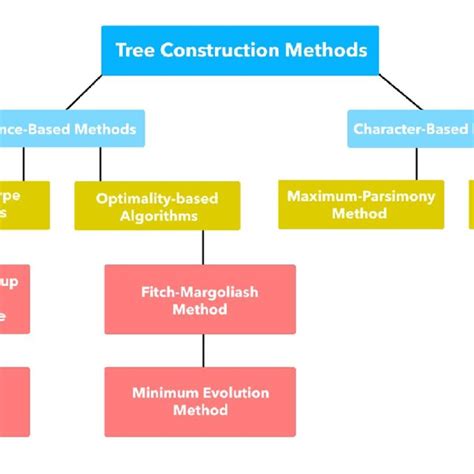 Actual Branch Length Of Taxon C Calculated Using The Fitch Margoliash Download Scientific