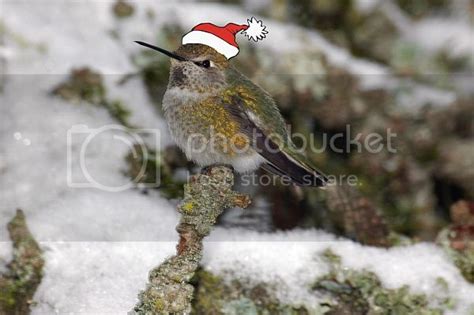 33v Arduino I2c Backpack To 5v Lcd Displays Arduino Forum