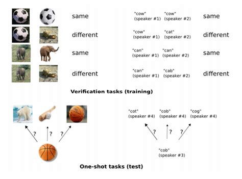 one shot learning one of the biggest criticisms of… by connor shorten medium