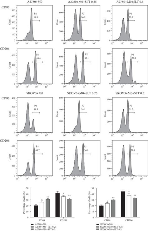 Slt Regulates The Polarization Of M0 Macrophages In Coculture With Download Scientific Diagram