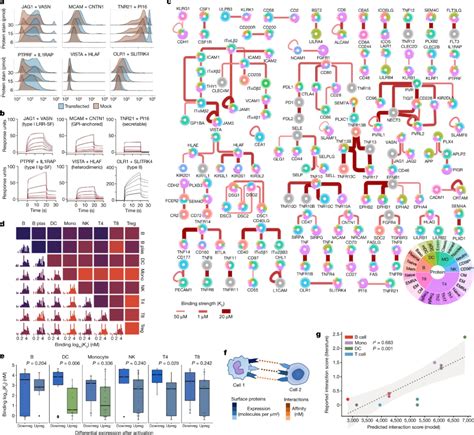 Nature 人体免疫系统的物理连接图（2） 知乎