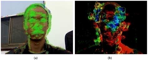 Motion Video Recognition In Speeded Up Robust Features Tracking