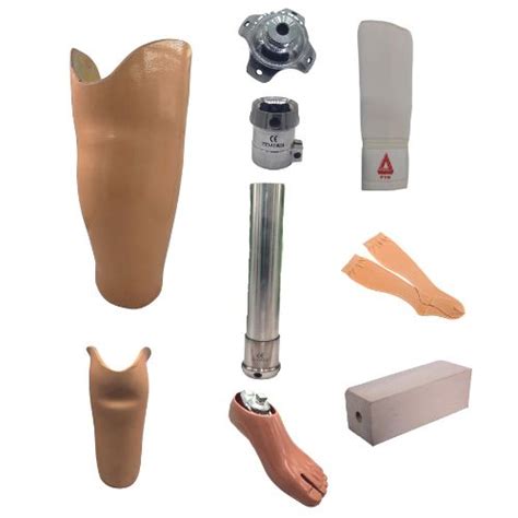 Standard Modular Prosthesis With Laminated Socket Proactive Technical Orthopaedics