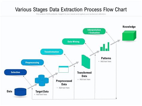 Various Stages Data Extraction Process Flow Chart Ppt PowerPoint