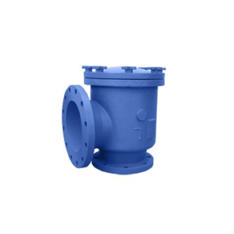 Suction Diffuser Strainers For Commercial Use Northstock
