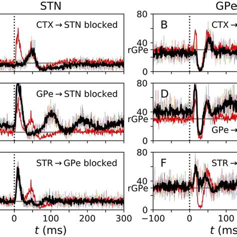 Schematics Of Neuron Placement And The Three Network Structures Download Scientific Diagram