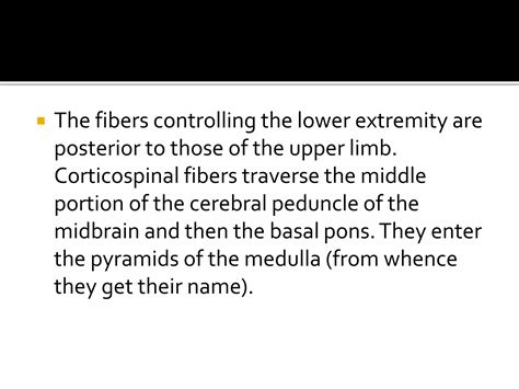 Pyramidal System PPTX