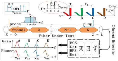 Schematic Representation Of Dofc Based Single Shot Botda Utilizing Download Scientific Diagram