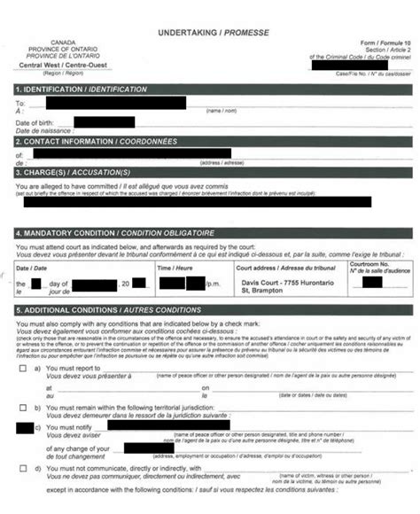 Undertaking Form 10 For Theft Under 5000 Fraud Etc