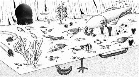 Png2 Mapping Ignorance