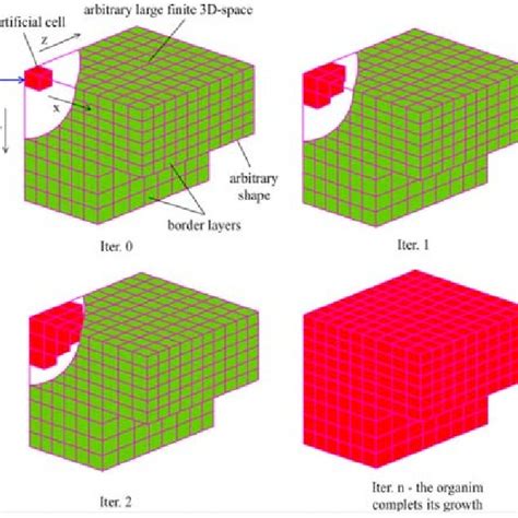 The Self Replicating State Machine Model And Its Evolution After An
