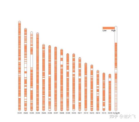 变异信息定位染色体 知乎
