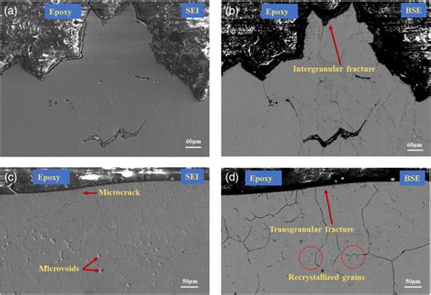 Fracture Section Morphology Of The Steel At Different Temperatures Download Scientific Diagram