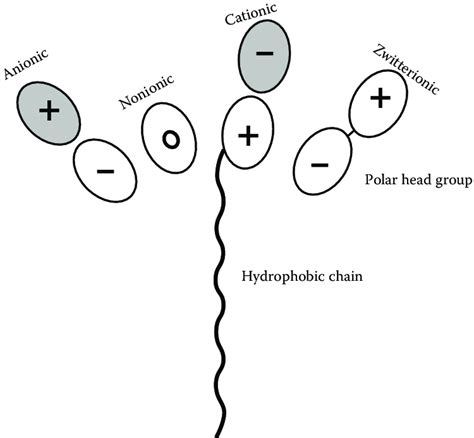 1 Different Types Of Surfactants Download Scientific Diagram