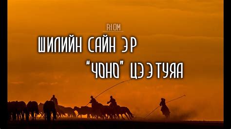Яндан саарал морь яргай ташуурт Чоно Цээтуяа Youtube
