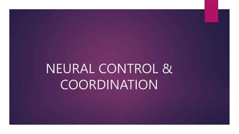 Neural Control Coordination Ppt Pptx Ppt