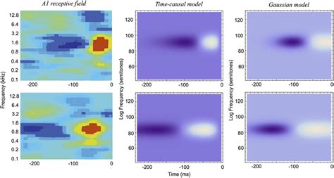 Left Column Separable Spectro Temporal Receptive Fields In The Download Scientific Diagram
