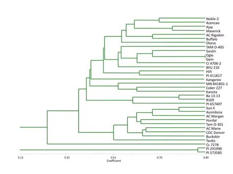 PPT Coefficient PowerPoint Presentation Free Download ID 5327845