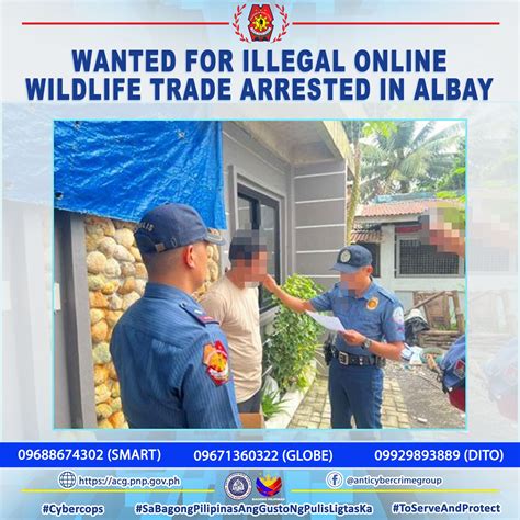 Pnp Pnp Acg Smc No 1117 𝐖𝐚𝐧𝐭𝐞𝐝 𝐟𝐨𝐫 𝐈𝐥𝐥𝐞𝐠𝐚𝐥 𝐎𝐧𝐥𝐢𝐧𝐞 𝐖𝐢𝐥𝐝𝐥𝐢𝐟𝐞 𝐓𝐫𝐚𝐝𝐞