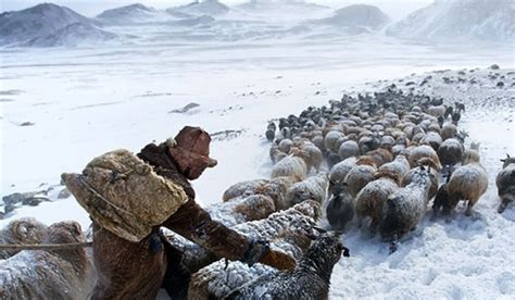 Нийт нутгийн 2 6 хувьд ЗУДЫН ЭРСДЭЛ ӨНДӨР байна