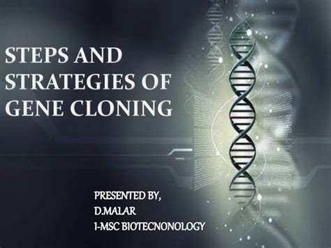 Steps And Strategies Of Gene Cloning Pptx Genetics Science