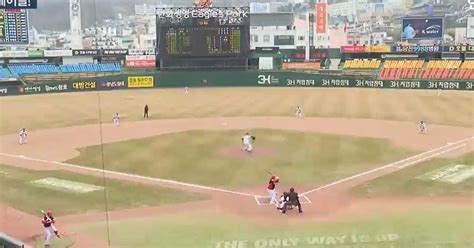 반갑다 야구야막 오르는 프로야구 시범경기