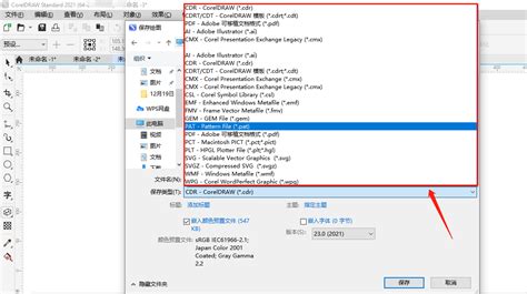 矢量图格式有哪些 Cdr导出矢量图是什么文件格式 Coreldraw中文网站