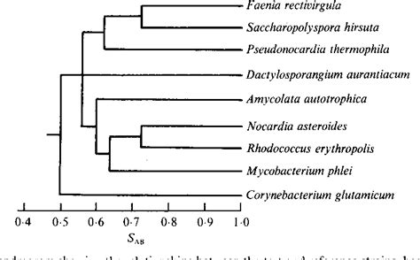 Table 1 From Reverse Transcriptase Sequencing Of 16s Ribosomal Rna From Faenia Rectivirgula