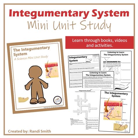 The Integumentary System Skin Hair Nails A Science Mini Unit Study Peanut Butter Fish