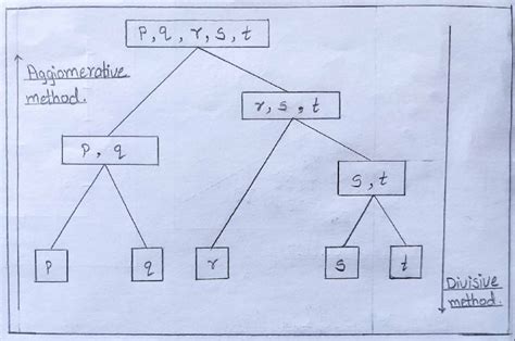 Agglomerative Clustering Download Scientific Diagram