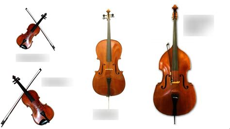 String Instruments Diagram Quizlet