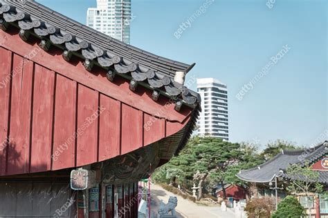 부처님오신날 부처 전통문화 행사 연등 석가탄신일 불교 로우앵글 색감 축제 연례행사 종교 건물외관 기와 기와지붕 기와집 이미지 Jv12573333