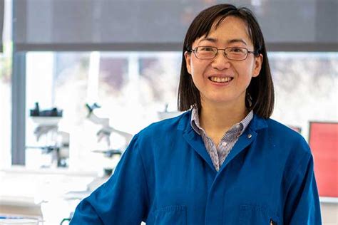 Wei Xie Northeastern University College Of Engineering