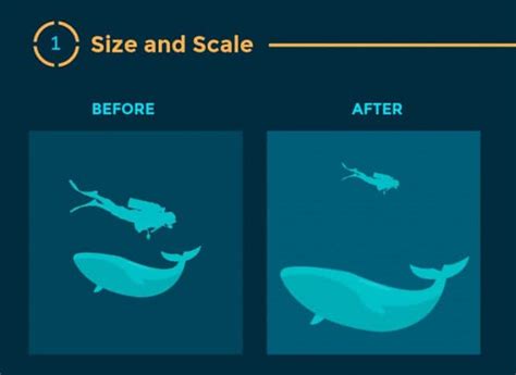 12 Principles Of Visual Hierarchy Webdevsupply