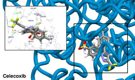 Interaction Of Cox 2 Protein With Celecoxib Download Scientific Diagram