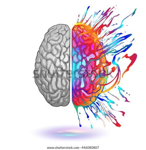 인간 뇌 스톡 벡터로열티 프리 446080807 Shutterstock