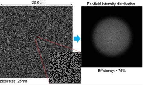 Generated Randomized Diffusion Grid Left And Simulated Optical
