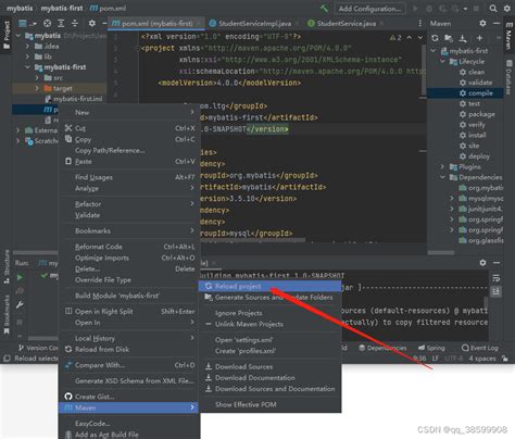 Idea Easy Code 插件v125 Java版本 自动生成代码报红easycode Ite Imoin The