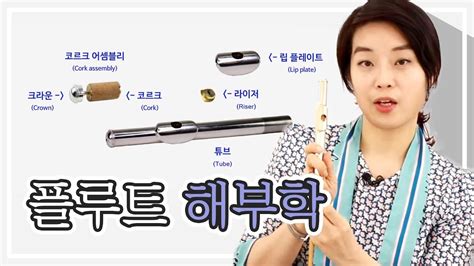 플루트 해부학 플룻 배우기 Youtube