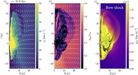 Structure Of The Bipolar Outflow Around At The End Of The Simulation