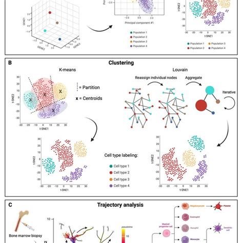Machine Learning With Single Cell Rna Sequencing Scrna Seq Data Has
