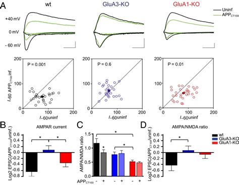 Amyloid β Effects On Synapses And Memory Require Ampa Receptor Subunit Glua3 Pmc