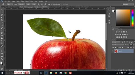 اداة بين تول Pen Tool شرح متكامل Youtube